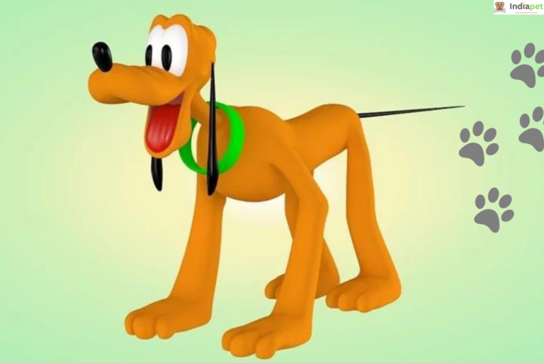 15 Most Famous Cartoon Dogs - India Pet