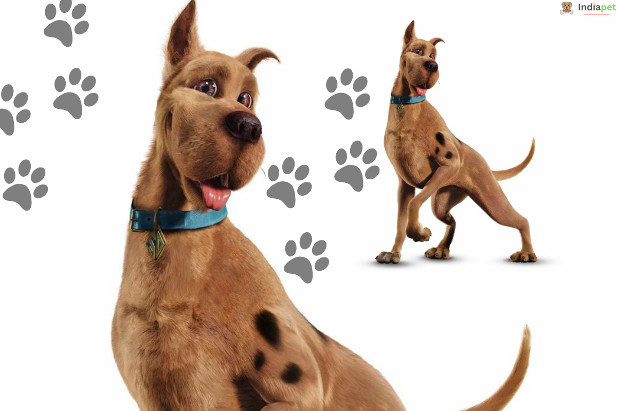 15 Most Famous Cartoon Dogs - India Pet