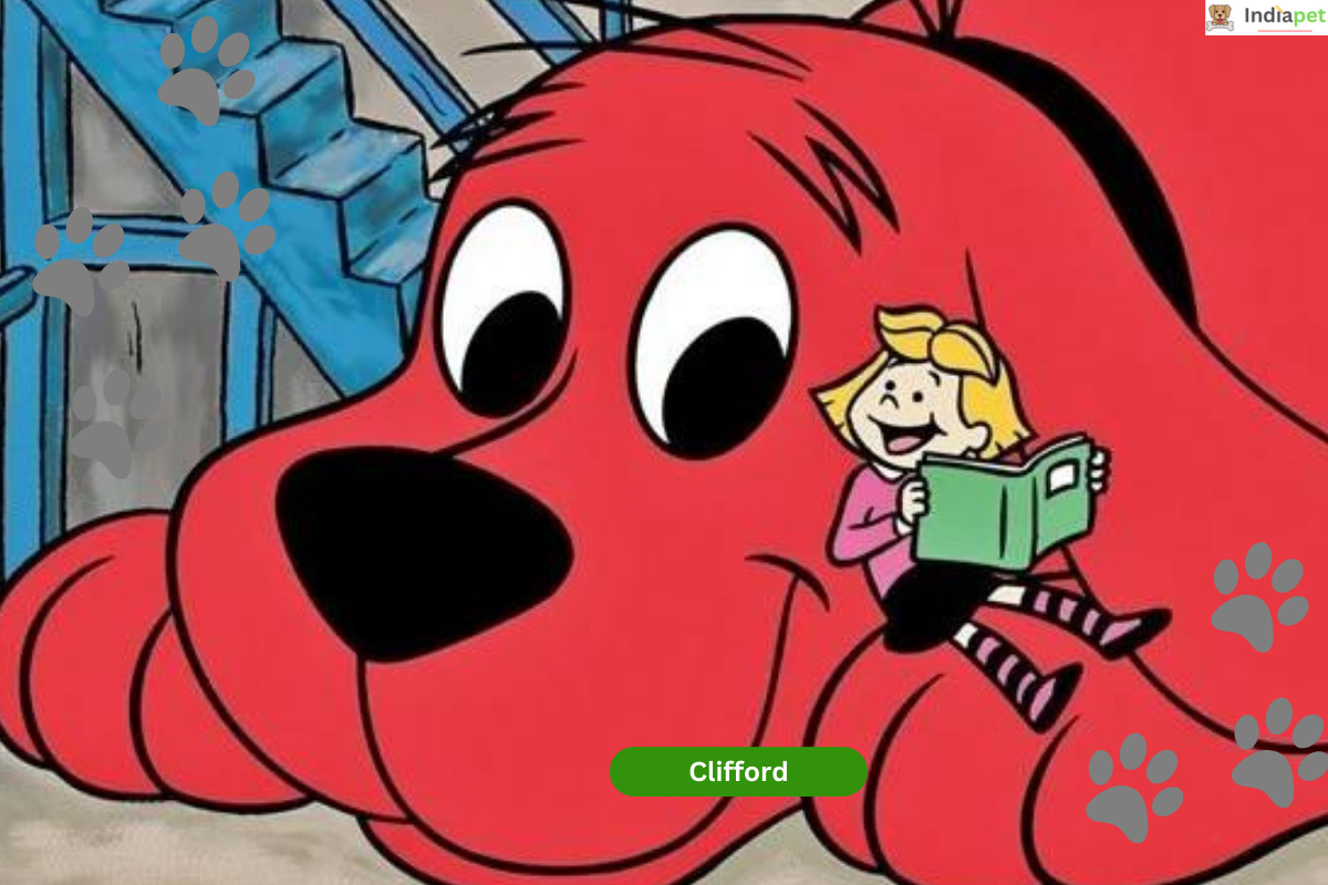 15 Most Famous Cartoon Dogs - India Pet